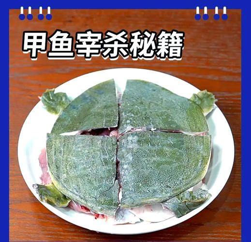 老鳖怎么杀_杀老鳖的正确方法图解-第2张图片-山城妙识