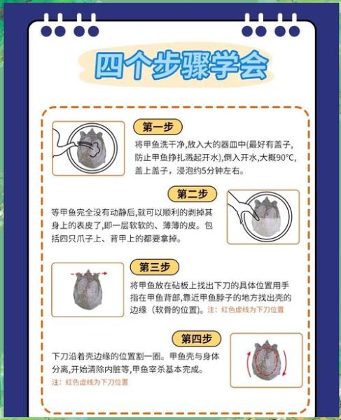 老鳖怎么杀_杀老鳖的正确方法图解-第1张图片-山城妙识