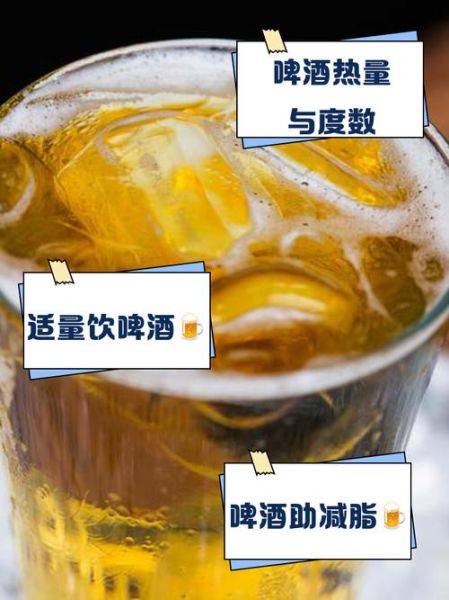 一瓶啤酒热量是多少_减肥能喝吗-第3张图片-山城妙识