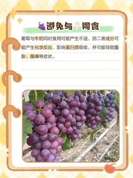吃葡萄上火吗_吃葡萄会便秘吗-第3张图片-山城妙识