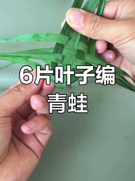 棕榈叶怎么编_棕榈叶编织教程-第1张图片-山城妙识