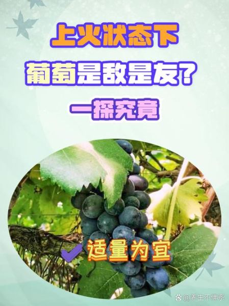 吃葡萄上火吗_吃葡萄会便秘吗-第1张图片-山城妙识