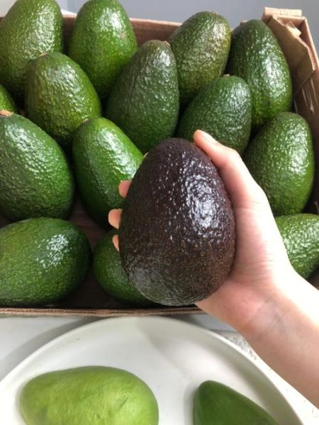 牛油果会伤害子宫吗_牛油果对子宫的影响-第1张图片-山城妙识