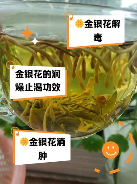 女生喝金银花茶的好处_金银花茶能天天喝吗-第3张图片-山城妙识