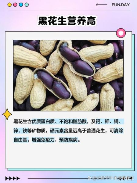 黑花生的营养价值及功效_黑花生怎么吃最健康-第2张图片-山城妙识 黑花生的营养价值及功效_黑花生怎么吃最健康-第2张图片-山城妙识