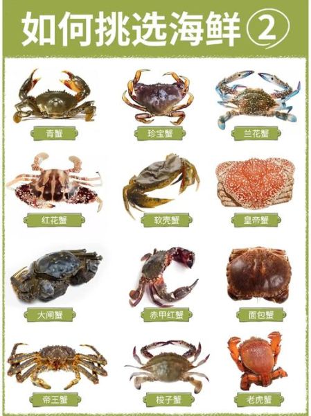 河蟹吃什么_河蟹食物清单-第2张图片-山城妙识 河蟹吃什么_河蟹食物清单-第2张图片-山城妙识