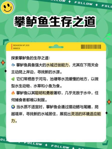 攀鲈鱼怎么吃_攀鲈鱼做法大全-第1张图片-山城妙识