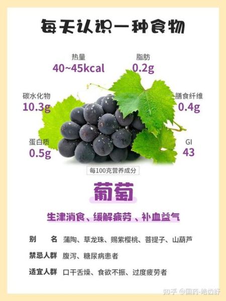 葡萄的营养价值与功效有哪些_吃葡萄有什么好处-第1张图片-山城妙识