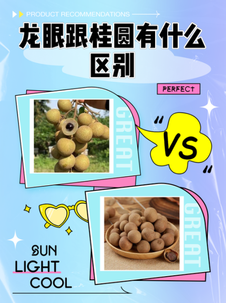 桂圆和龙眼的区别_功效与作用一样吗-第1张图片-山城妙识 桂圆和龙眼的区别_功效与作用一样吗-第1张图片-山城妙识