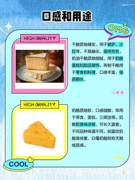 干酪和奶酪的区别_干酪怎么保存-第1张图片-山城妙识