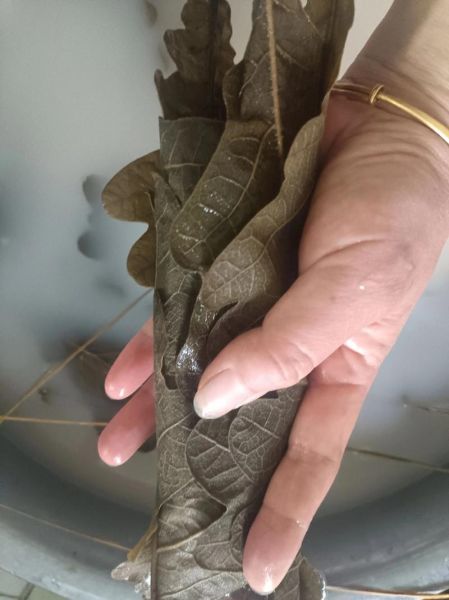 如何用胡叶包粽子_胡叶粽子怎么包不裂-第3张图片-山城妙识