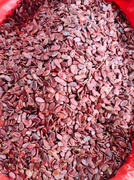 红瓜子是什么瓜的子_红瓜子产地在哪里-第1张图片-山城妙识