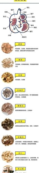 北京爆肚怎么做_正宗爆肚做法详解-第3张图片-山城妙识