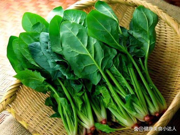 补铁的蔬菜有哪些_哪些蔬菜含铁量高-第3张图片-山城妙识