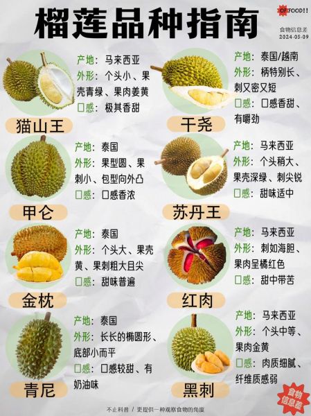 男人吃榴莲有什么好处_男人吃榴莲能提高性功能吗-第1张图片-山城妙识 男人吃榴莲有什么好处_男人吃榴莲能提高性功能吗-第1张图片-山城妙识