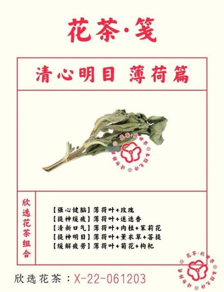 薄荷的功效与作用禁忌_孕妇能吃吗-第1张图片-山城妙识