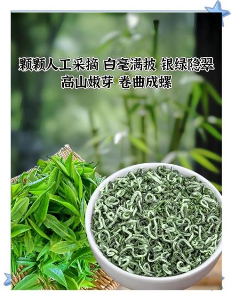 碧螺春原产地哪里_正宗碧螺春产地是哪里-第3张图片-山城妙识