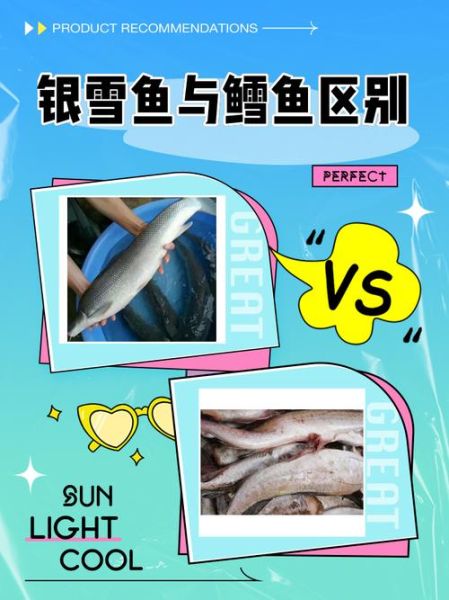 鳕鱼多少钱一斤_鳕鱼价格为什么差别这么大-第1张图片-山城妙识 鳕鱼多少钱一斤_鳕鱼价格为什么差别这么大-第1张图片-山城妙识