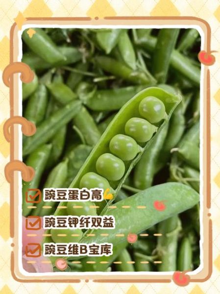 豌豆的营养价值_豌豆怎么吃最健康-第2张图片-山城妙识