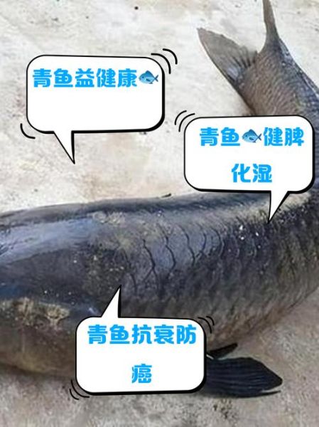 青川鱼的营养价值及功效_青川鱼适合什么人吃-第1张图片-山城妙识