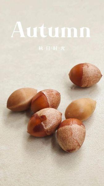 新鲜银杏果怎么去皮_银杏果去皮最简单的方法-第3张图片-山城妙识