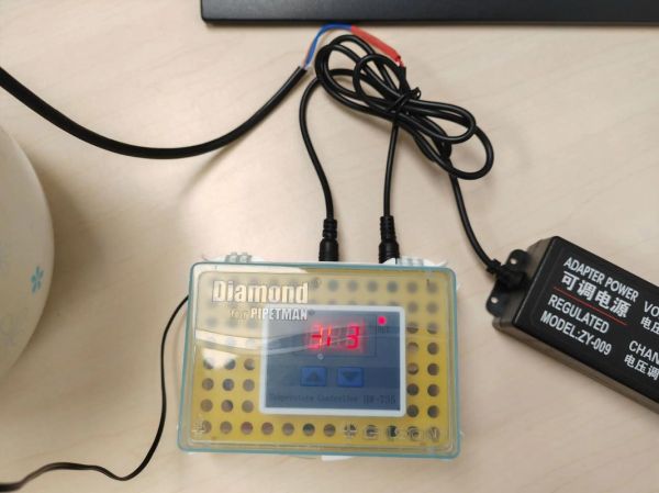 酸奶机自制酸奶的做法_家用酸奶机做酸奶比例是多少-第1张图片-山城妙识