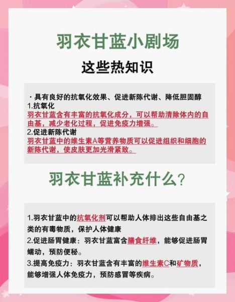 甘蓝菜的功效与作用及禁忌_什么人不能吃甘蓝菜-第1张图片-山城妙识 甘蓝菜的功效与作用及禁忌_什么人不能吃甘蓝菜-第1张图片-山城妙识