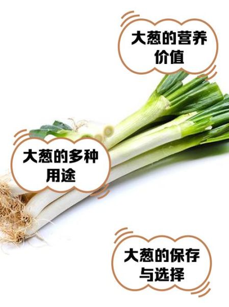 大葱的功效与作用_大葱的营养价值有哪些-第1张图片-山城妙识 大葱的功效与作用_大葱的营养价值有哪些-第1张图片-山城妙识