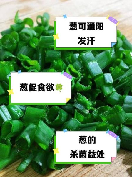 大葱的功效与作用_大葱的营养价值有哪些-第3张图片-山城妙识 大葱的功效与作用_大葱的营养价值有哪些-第3张图片-山城妙识