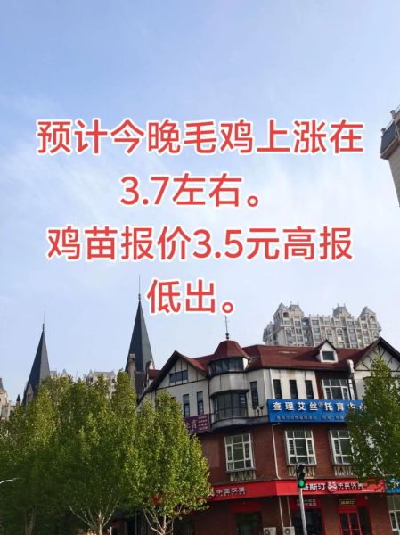 肉鸡价格今日多少钱一斤_肉鸡行情还会涨吗-第1张图片-山城妙识