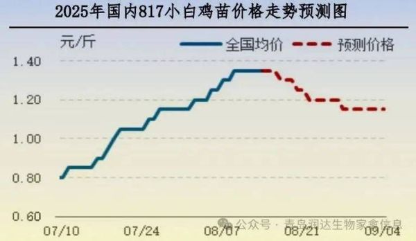 肉鸡价格今日多少钱一斤_肉鸡行情还会涨吗-第3张图片-山城妙识