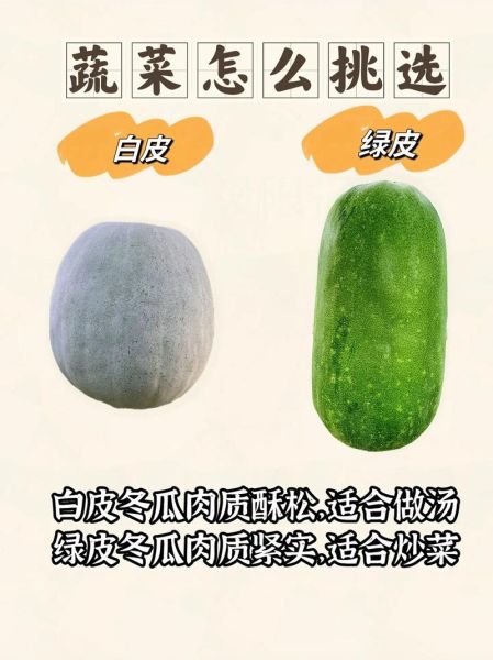 白冬瓜图片大全_白冬瓜长什么样-第1张图片-山城妙识