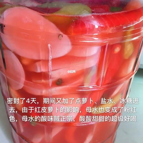 红皮萝卜泡菜怎么做_红皮萝卜泡菜要泡多久-第1张图片-山城妙识