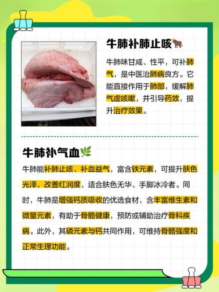 牛肺的功效与作用_牛肺怎么吃最补肺-第1张图片-山城妙识