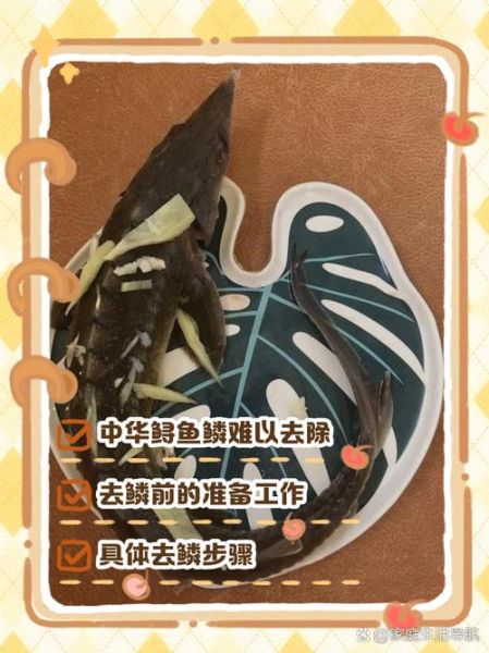 中华鲟怎么去鳞_中华鲟去鳞最简单的方法-第1张图片-山城妙识