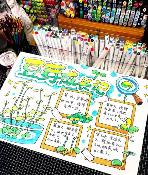 怎么发豆芽_家庭发豆芽的详细步骤-第2张图片-山城妙识