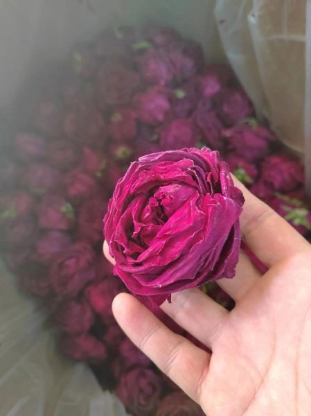 经常喝玫瑰花茶皮肤会变黑吗_真相揭秘-第2张图片-山城妙识