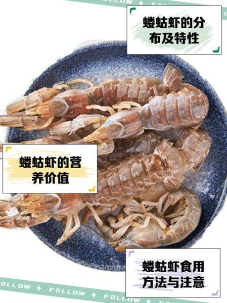虾蛄科是什么_虾蛄科和螳螂虾区别-第2张图片-山城妙识