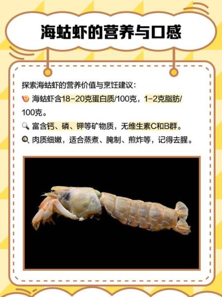 虾蛄科是什么_虾蛄科和螳螂虾区别-第3张图片-山城妙识