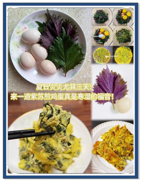 紫苏炒鸡蛋怎么做_紫苏叶炒鸡蛋的做法窍门-第1张图片-山城妙识