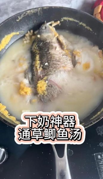 通草鲫鱼汤怎么做下奶_通草鲫鱼汤下奶做法-第2张图片-山城妙识
