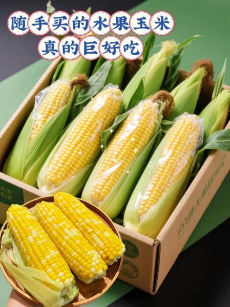 水果玉米批发联系方式_水果玉米批发价格多少钱一斤-第1张图片-山城妙识