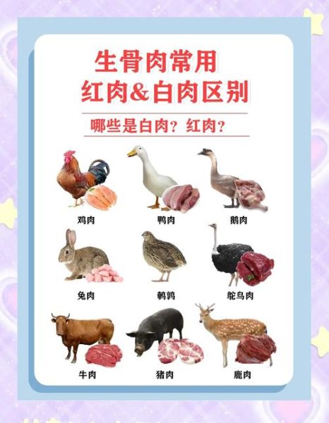 红肉是指哪些肉类_红肉和白肉的区别-第2张图片-山城妙识