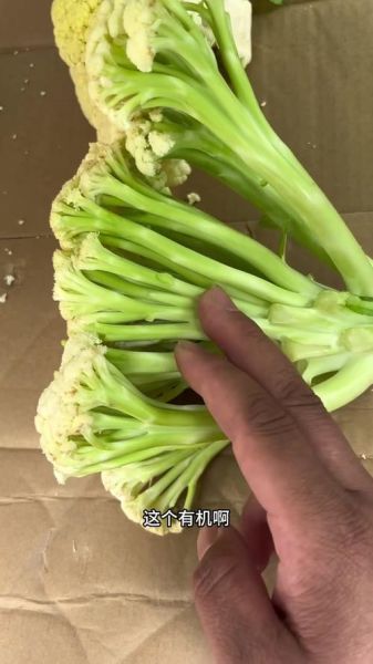 花菜和菜花是一样的吗_花菜和菜花的区别在哪里-第2张图片-山城妙识