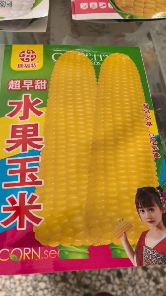 水果玉米批发联系方式_水果玉米批发价格多少钱一斤-第2张图片-山城妙识