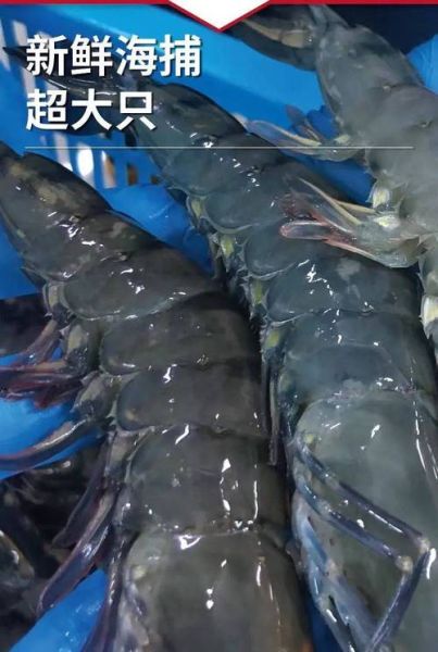 冻黑虎虾为什么被禁_冻黑虎虾还能吃吗-第1张图片-山城妙识