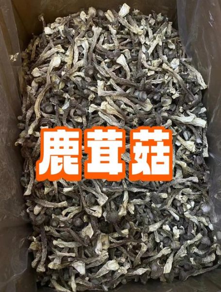 鹿茸价格多少一克_鹿茸多少钱一克-第2张图片-山城妙识