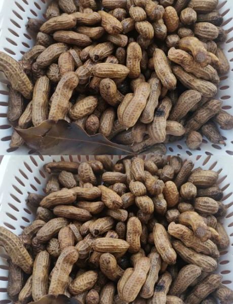 盐煮花生的正确做法_盐煮花生怎么煮才入味-第2张图片-山城妙识