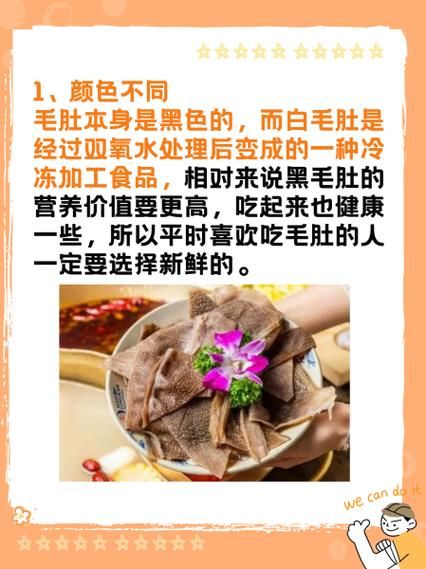 千层肚和毛肚哪个更有营养_千层肚和毛肚热量对比-第1张图片-山城妙识 千层肚和毛肚哪个更有营养_千层肚和毛肚热量对比-第1张图片-山城妙识