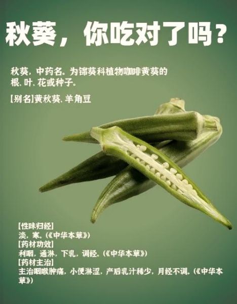 秋葵的功效与作用及副作用_秋葵怎么吃最健康-第2张图片-山城妙识
